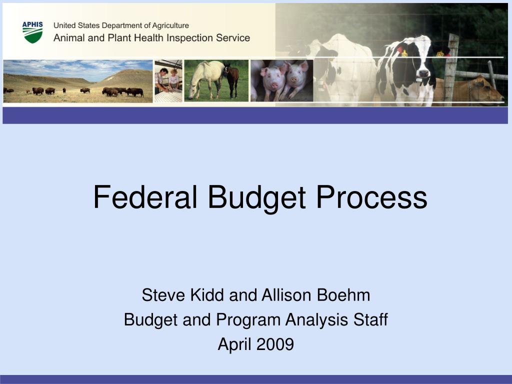 PPT - Federal Budget Process PowerPoint Presentation, free download ...