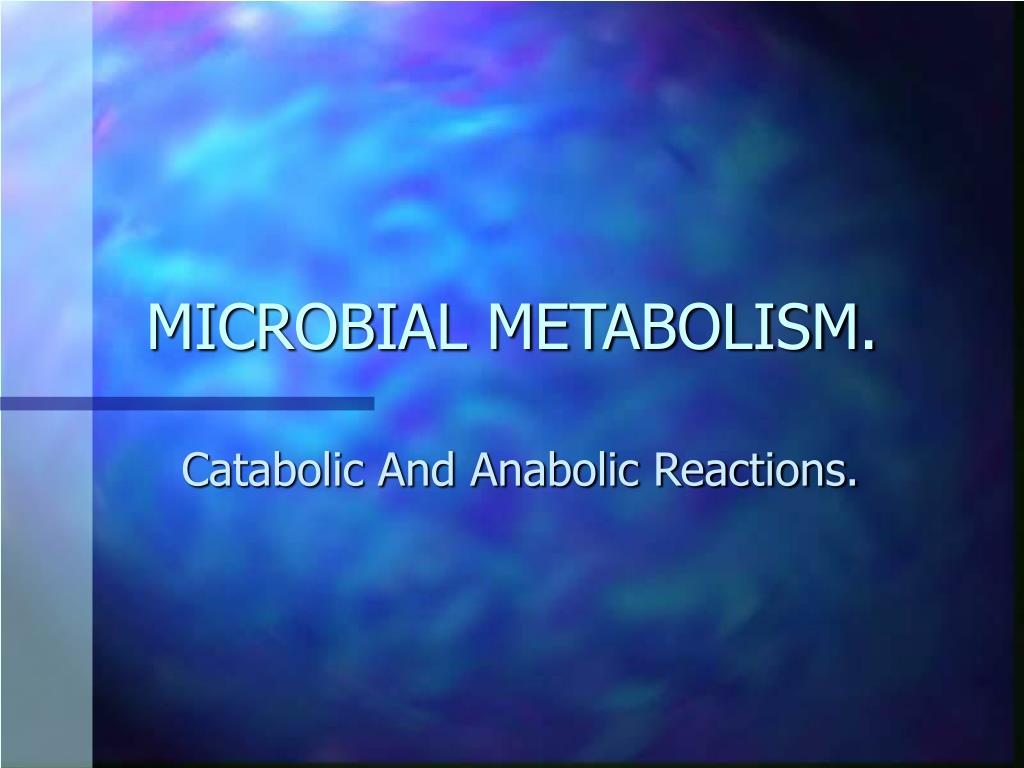 PPT - MICROBIAL METABOLISM. PowerPoint Presentation, free download - ID ...