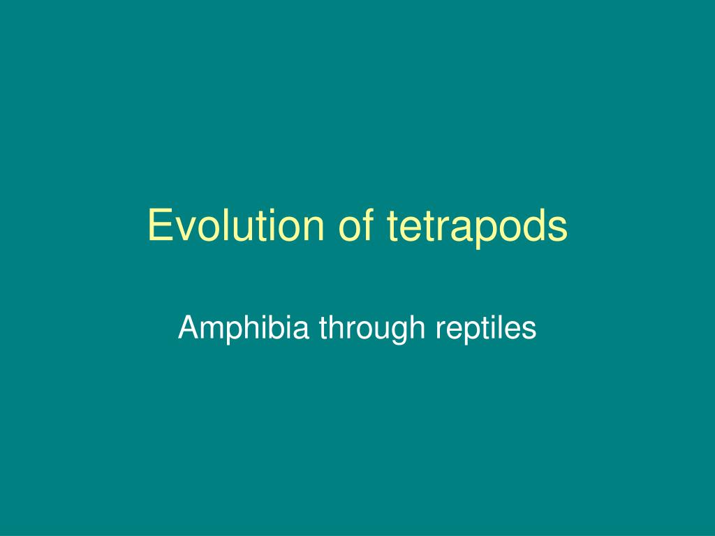 PPT - Evolution of tetrapods PowerPoint Presentation, free download ...