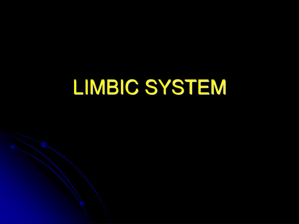PPT - LIMBIC SYSTEM PowerPoint Presentation, free download - ID:166737