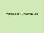 PPT - Microbiology Unknown Lab BIO 187 PowerPoint Presentation, free ...
