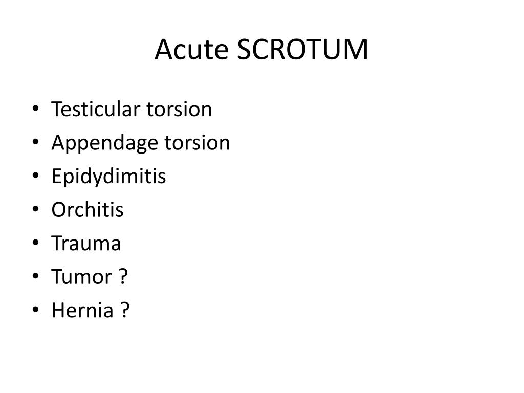 PPT - Acute SCROTUM PowerPoint Presentation, free download - ID:167798