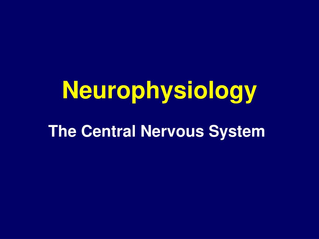 PPT - Neurophysiology PowerPoint Presentation, free download - ID:168209