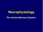 PPT - Sensory Neurophysiology PowerPoint Presentation, free download ...