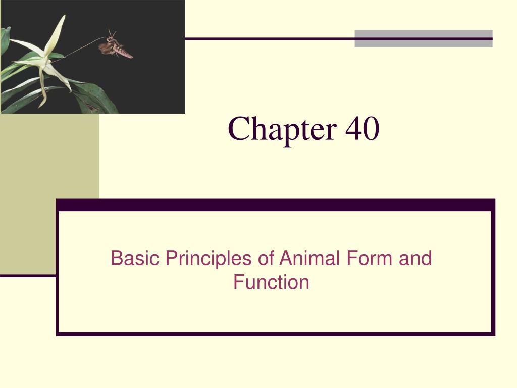 PPT - Chapter 40 PowerPoint Presentation, free download - ID:175332