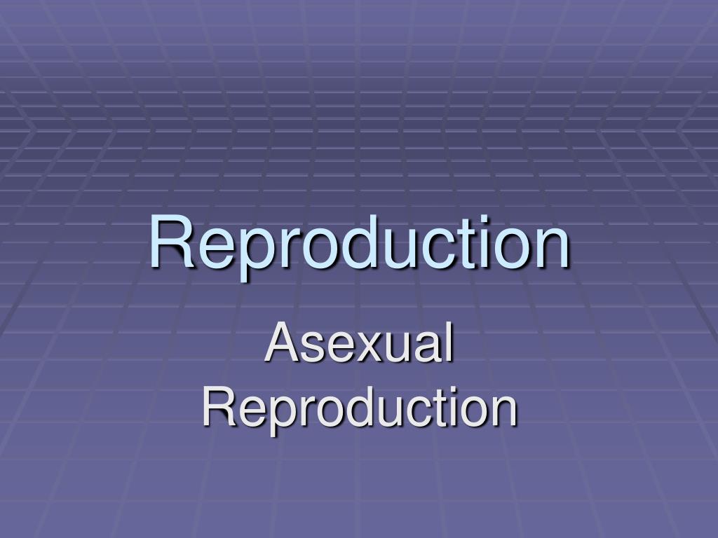 PPT - Reproduction PowerPoint Presentation, free download - ID:175832
