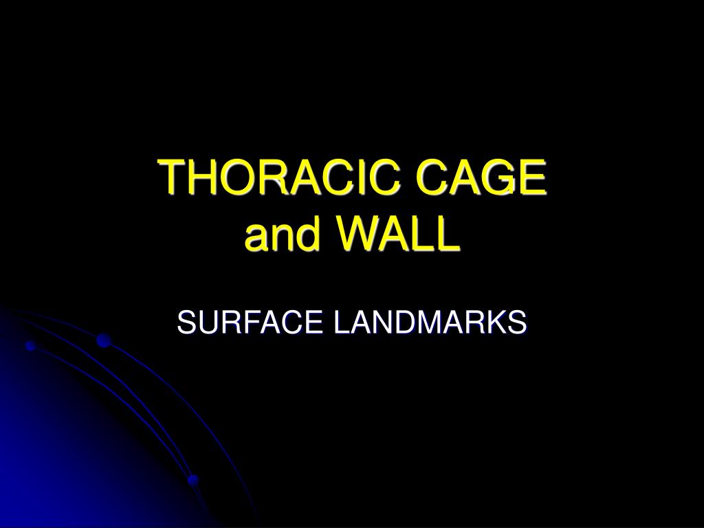 PPT - THORACIC CAGE and WALL PowerPoint Presentation, free download ...