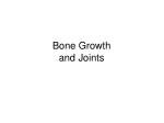 PPT - Joints Bone Connections PowerPoint Presentation, free download ...