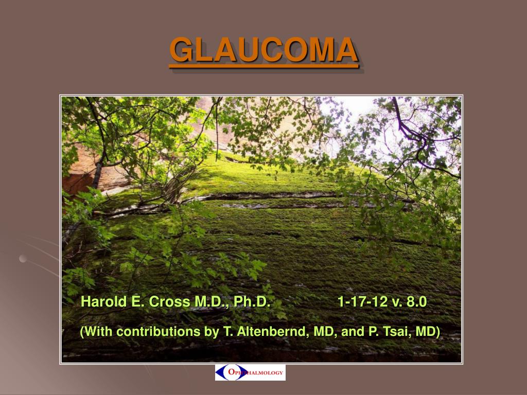 PPT - GLAUCOMA PowerPoint Presentation, free download - ID:177697