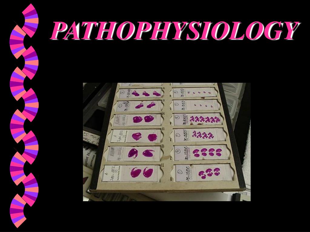 PPT - PATHOPHYSIOLOGY PowerPoint Presentation, free download - ID:182385