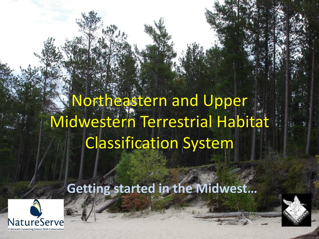 PPT - Northeastern and Upper Midwestern Terrestrial Habitat ...