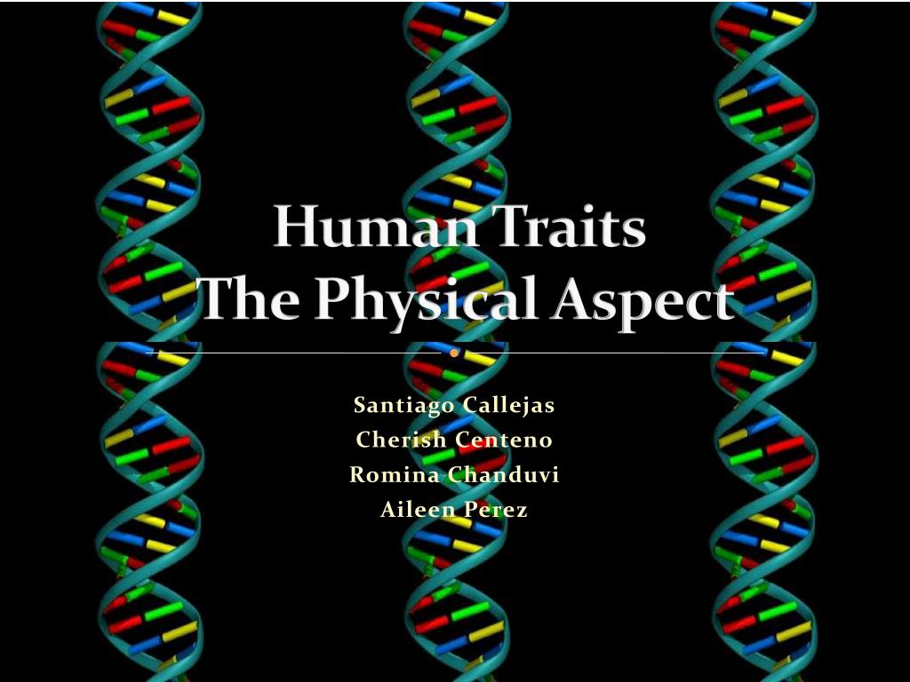 PPT - Human Traits The Physical Aspect PowerPoint Presentation, free ...