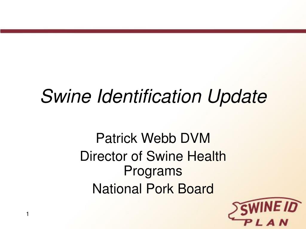 PPT - Swine Identification Update PowerPoint Presentation, free ...