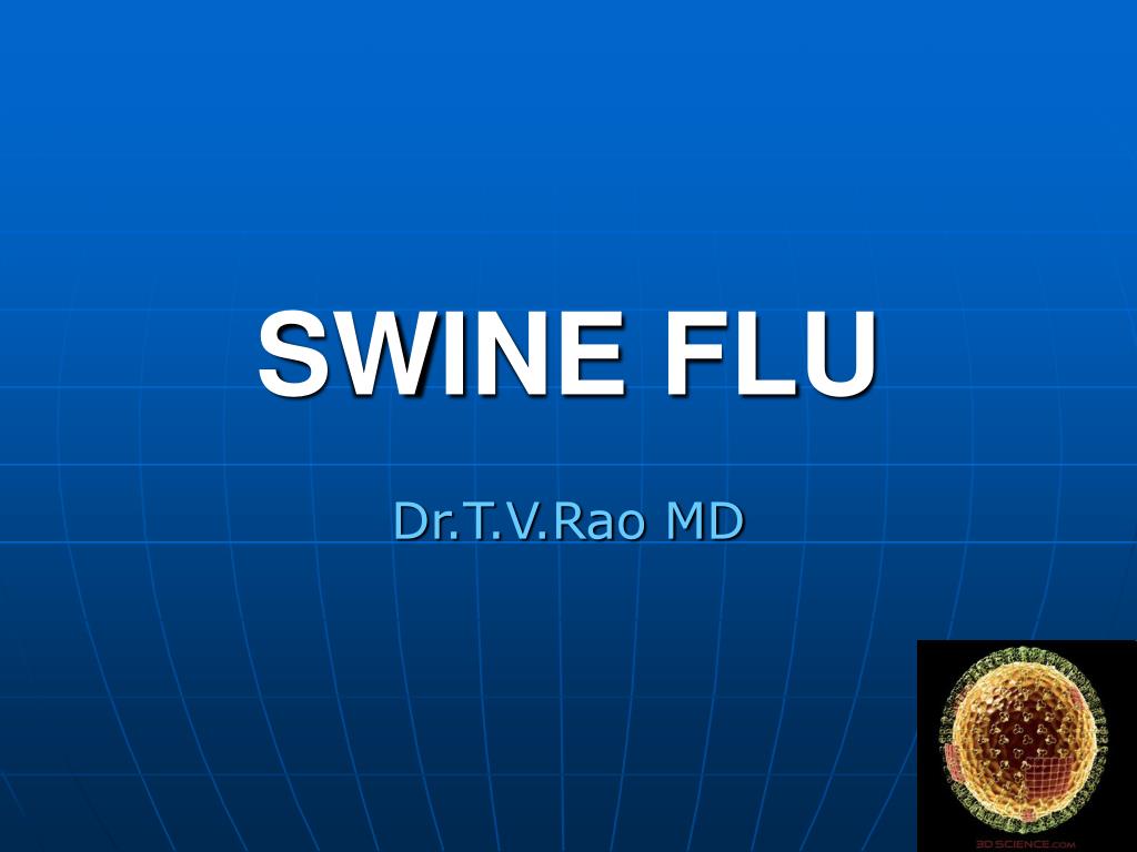 PPT - Swine Flu PowerPoint Presentation, free download - ID:1877