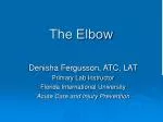 PPT - Elbow joint PowerPoint Presentation, free download - ID:8796306