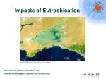 PPT - 5. EUTROPHICATION OF LAKES PowerPoint Presentation, free download ...