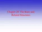 PPT - Basic Joint Injection “How to do it” PowerPoint Presentation - ID ...