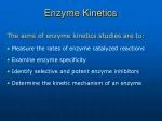 PPT - Enzyme Kinetics PowerPoint Presentation, free download - ID:1477171