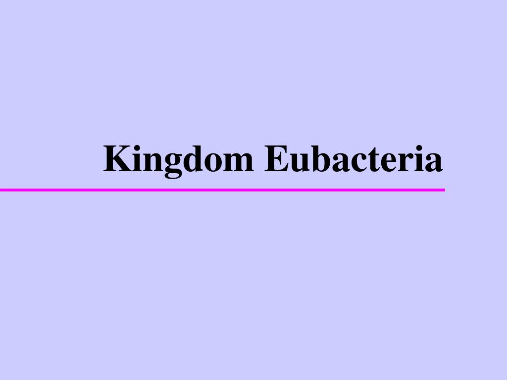 PPT - Kingdom Eubacteria PowerPoint Presentation, free download - ID:199907