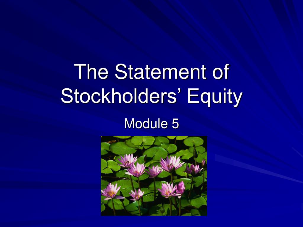PPT - The Statement of Stockholders’ Equity PowerPoint Presentation ...