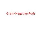 PPT - Fastidious Gram Negative Rods Respiratory Culture Unit PowerPoint ...