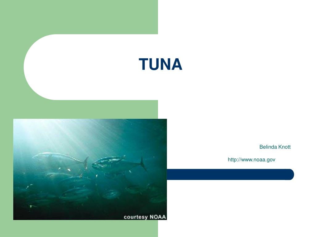 PPT - TUNA PowerPoint Presentation, free download - ID:203529