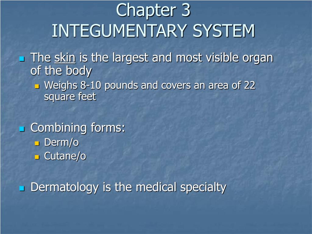 PPT - Chapter 3 INTEGUMENTARY SYSTEM PowerPoint Presentation, free ...