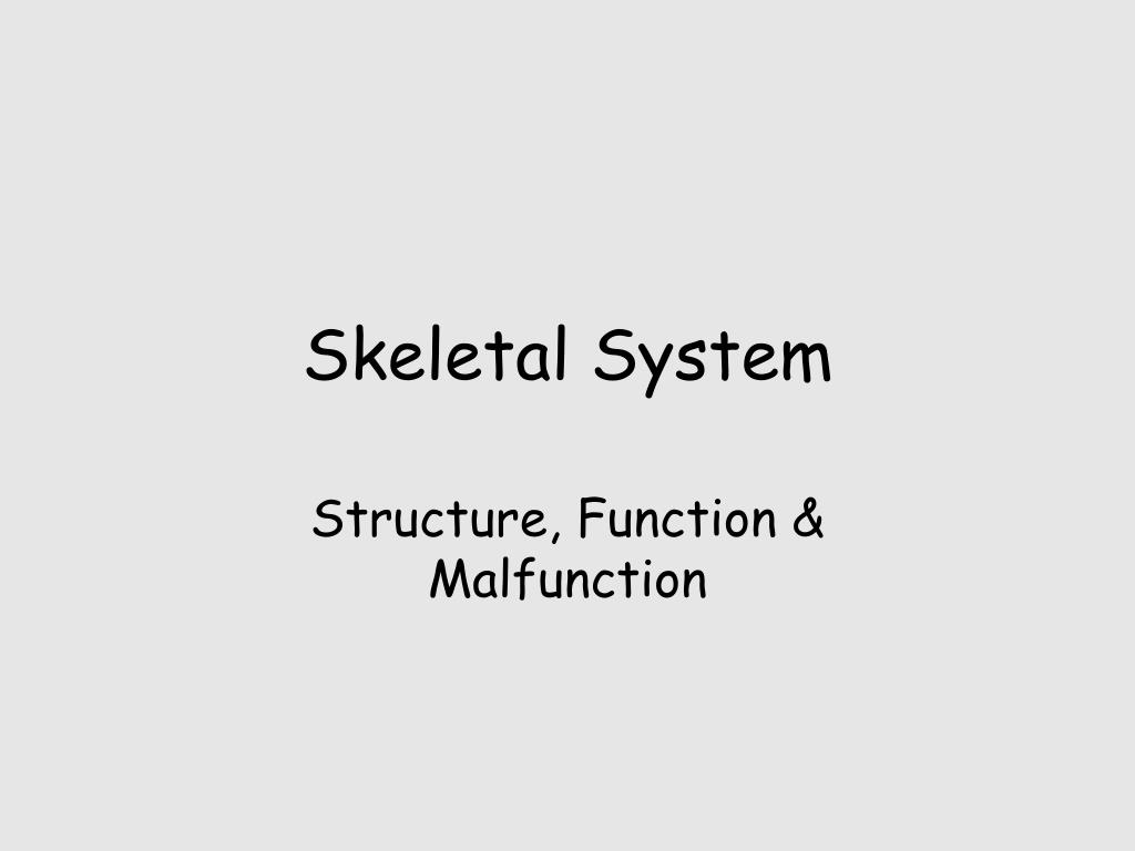 PPT - Skeletal System PowerPoint Presentation, free download - ID:205431