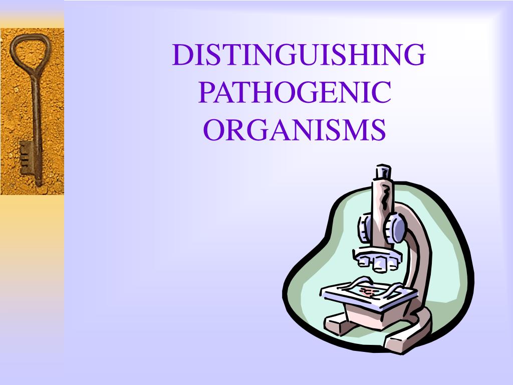 PPT - DISTINGUISHING PATHOGENIC ORGANISMS PowerPoint Presentation, free ...