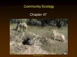 PPT - Community Ecology PowerPoint Presentation, free download - ID:7061417