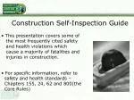 PPT - SELF INSPECTION PowerPoint Presentation, free download - ID:11036427