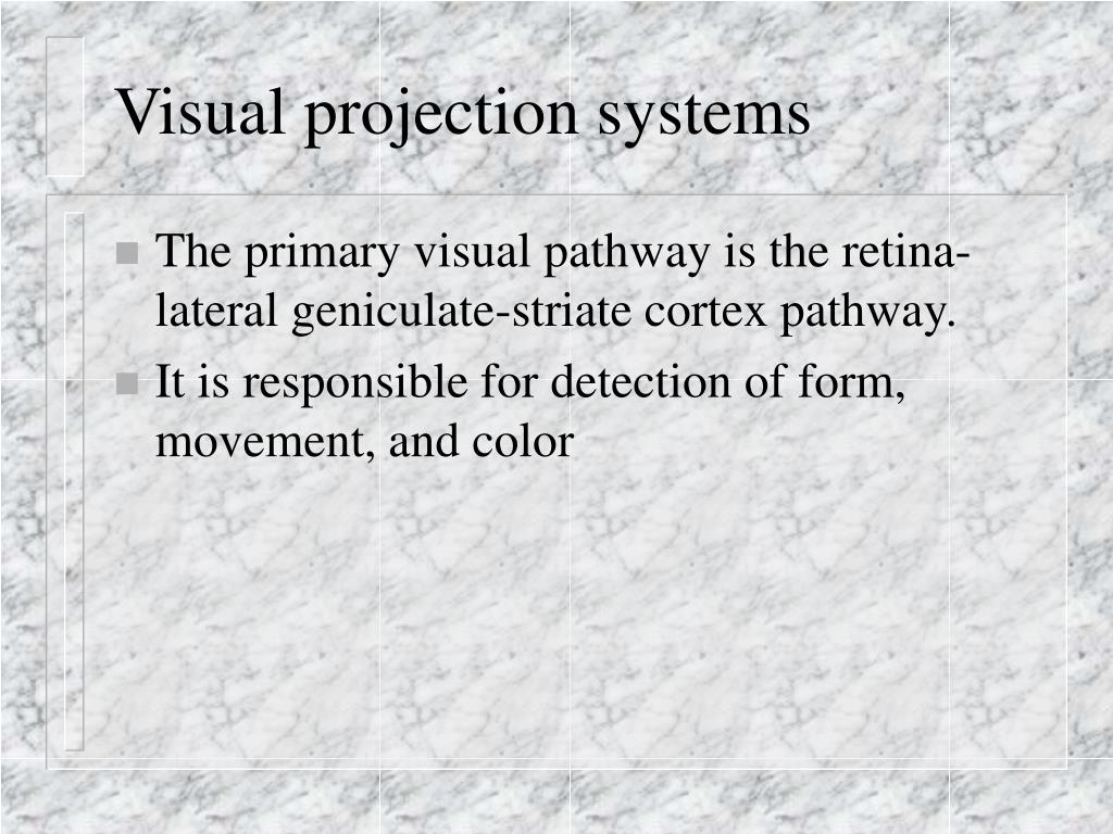 PPT - Visual projection systems PowerPoint Presentation, free download ...