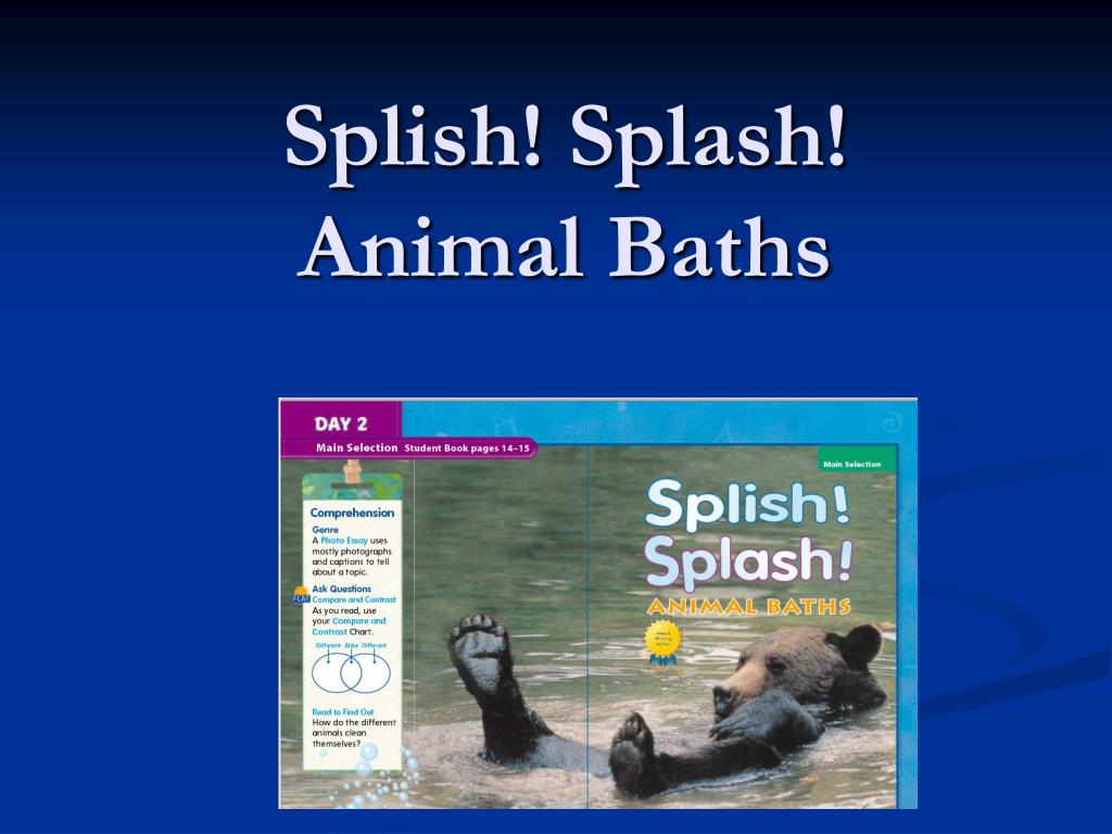 PPT - Splish! Splash! Animal Baths PowerPoint Presentation, free ...