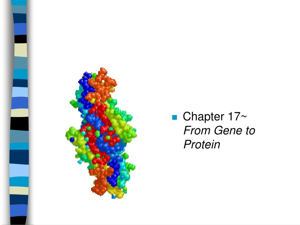 PPT - Chapter 17~ From Gene to Protein PowerPoint Presentation, free ...