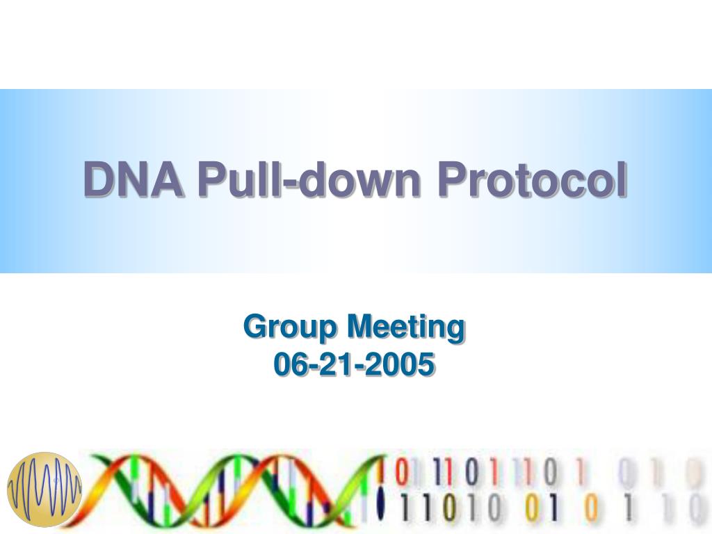 PPT - DNA Pull-down Protocol PowerPoint Presentation, free download ...