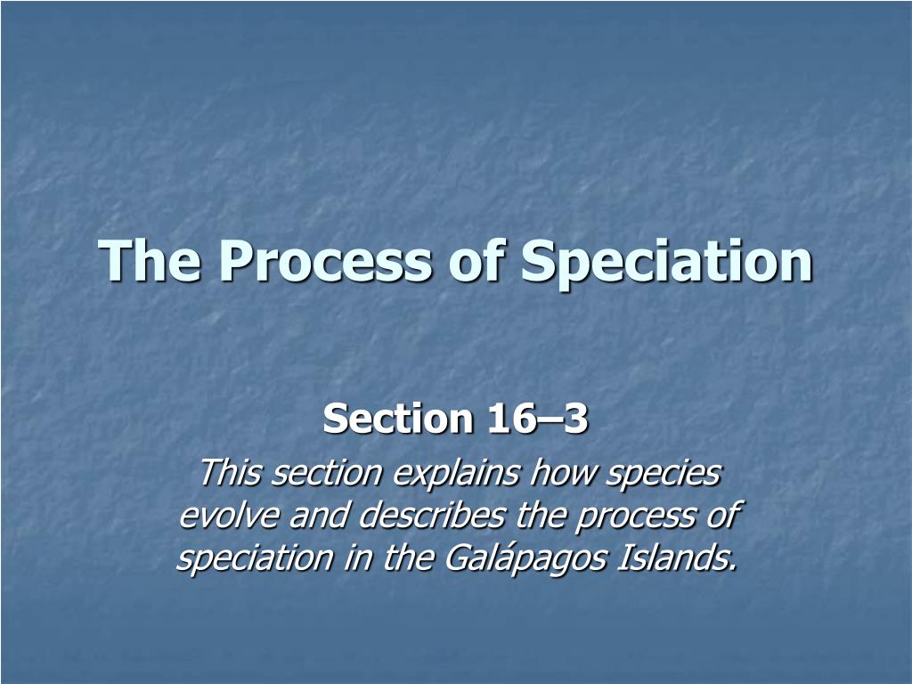 PPT - The Process of Speciation PowerPoint Presentation, free download ...