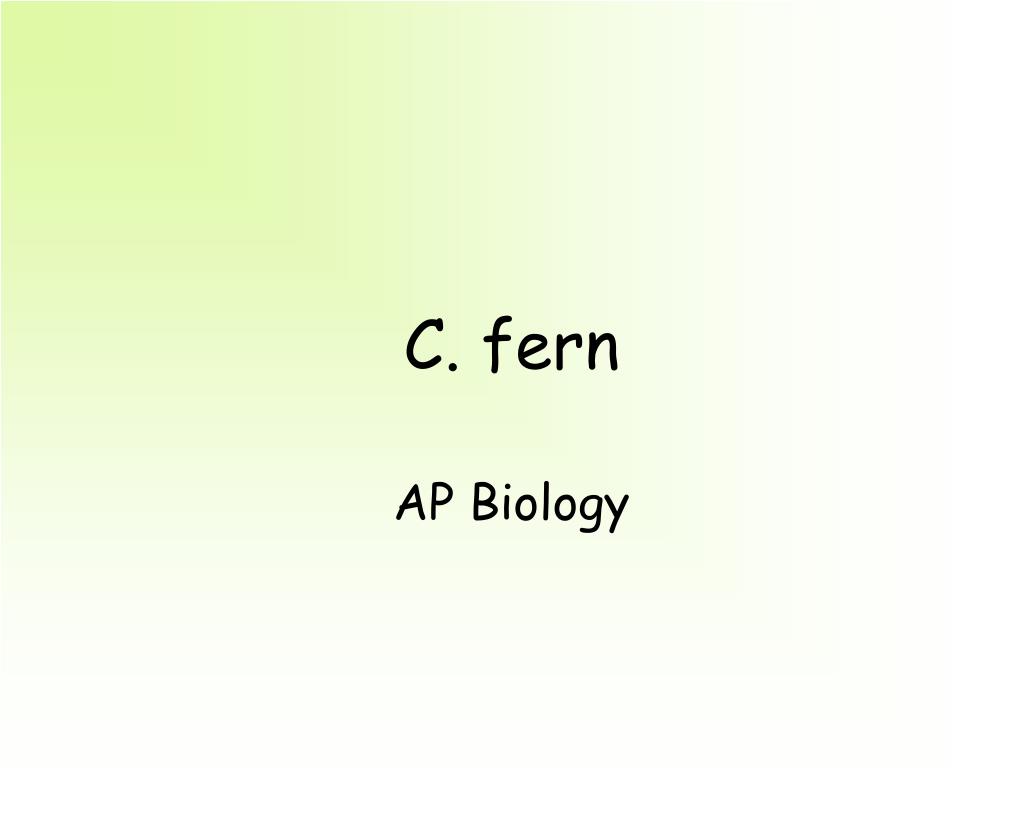 PPT - C. fern PowerPoint Presentation, free download - ID:209733