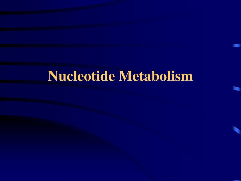 PPT - Nucleotide Metabolism PowerPoint Presentation, free download - ID ...