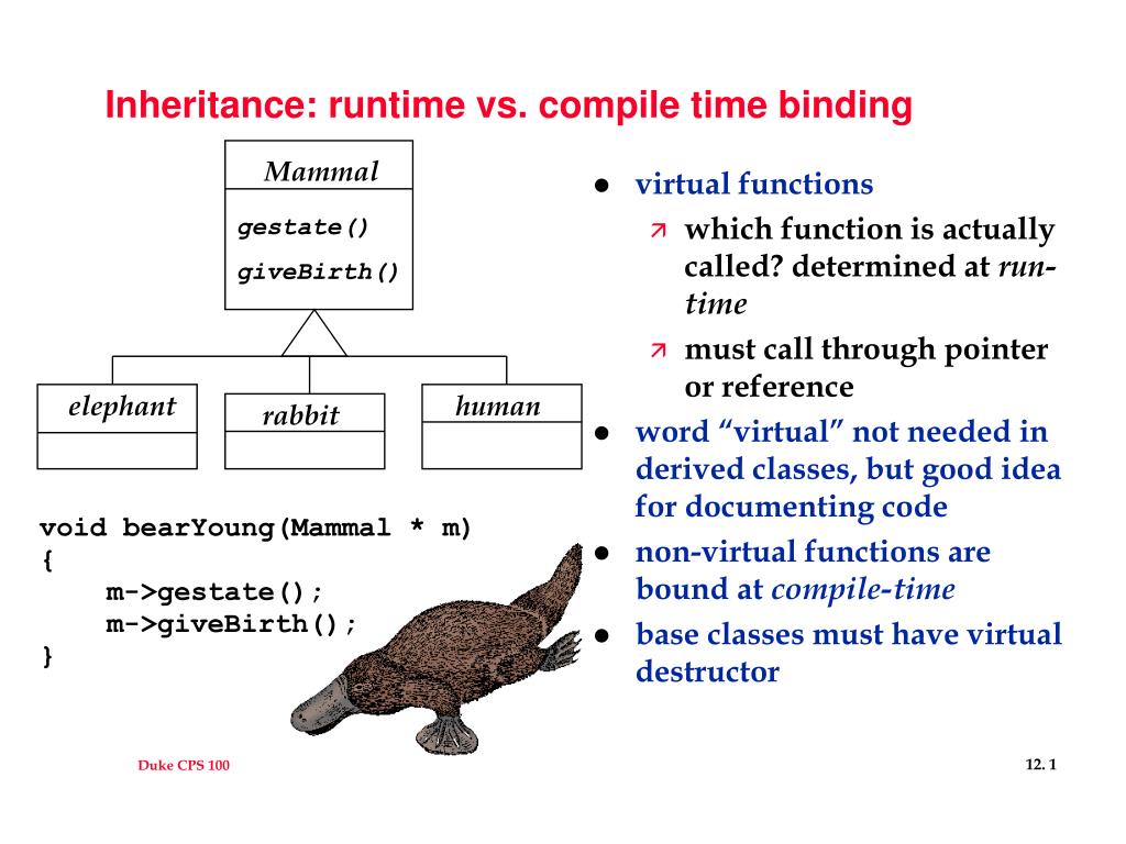 PPT - Inheritance: runtime vs. compile time binding PowerPoint Presentation - ID:210453
