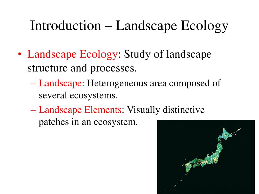 PPT - Introduction – Landscape Ecology PowerPoint Presentation, free ...