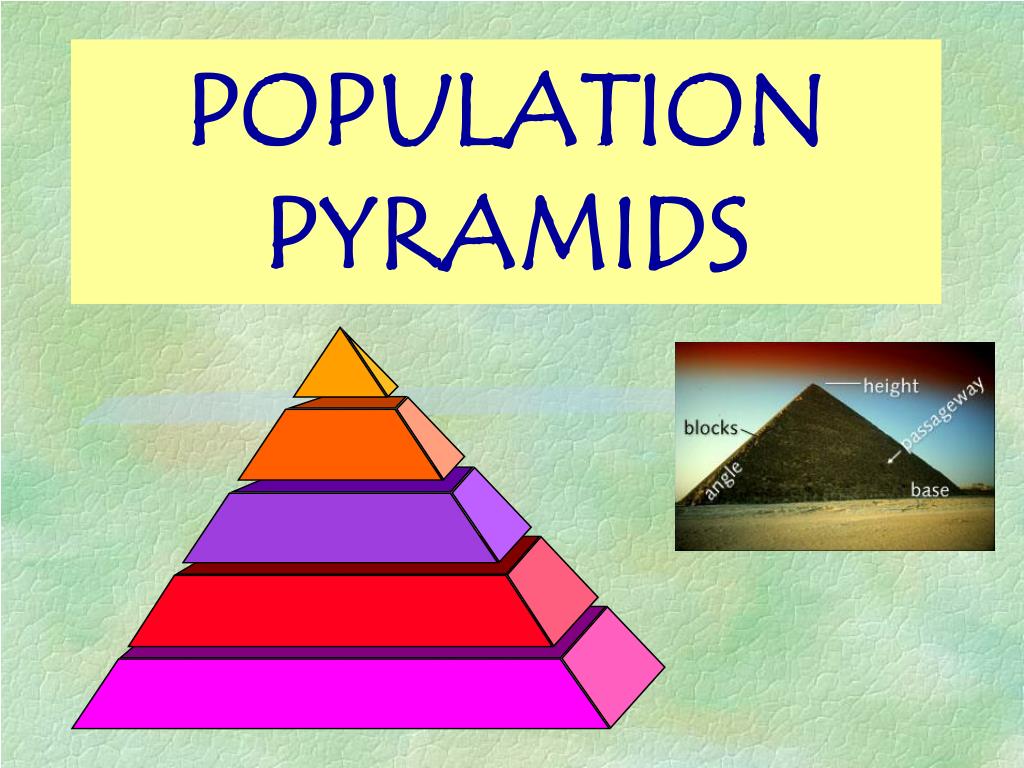PPT - POPULATION PYRAMIDS PowerPoint Presentation, free download - ID ...