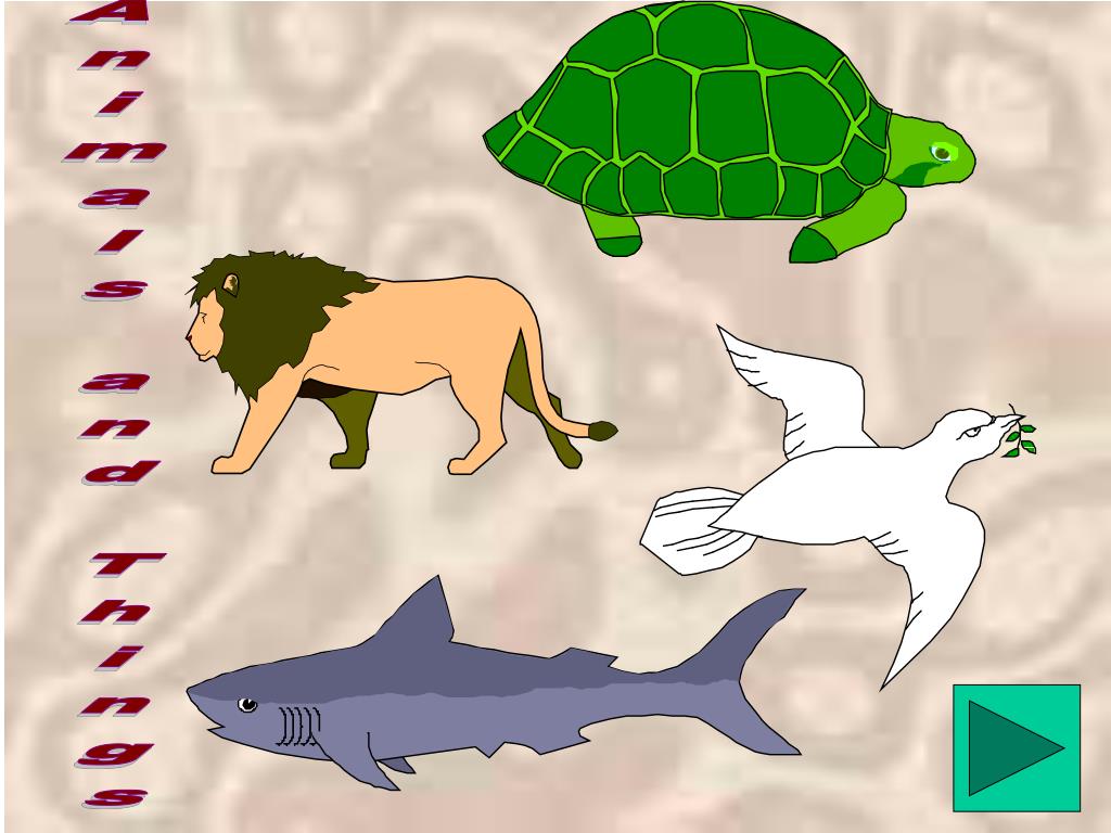 PPT - Animals and Things PowerPoint Presentation, free download - ID:21249