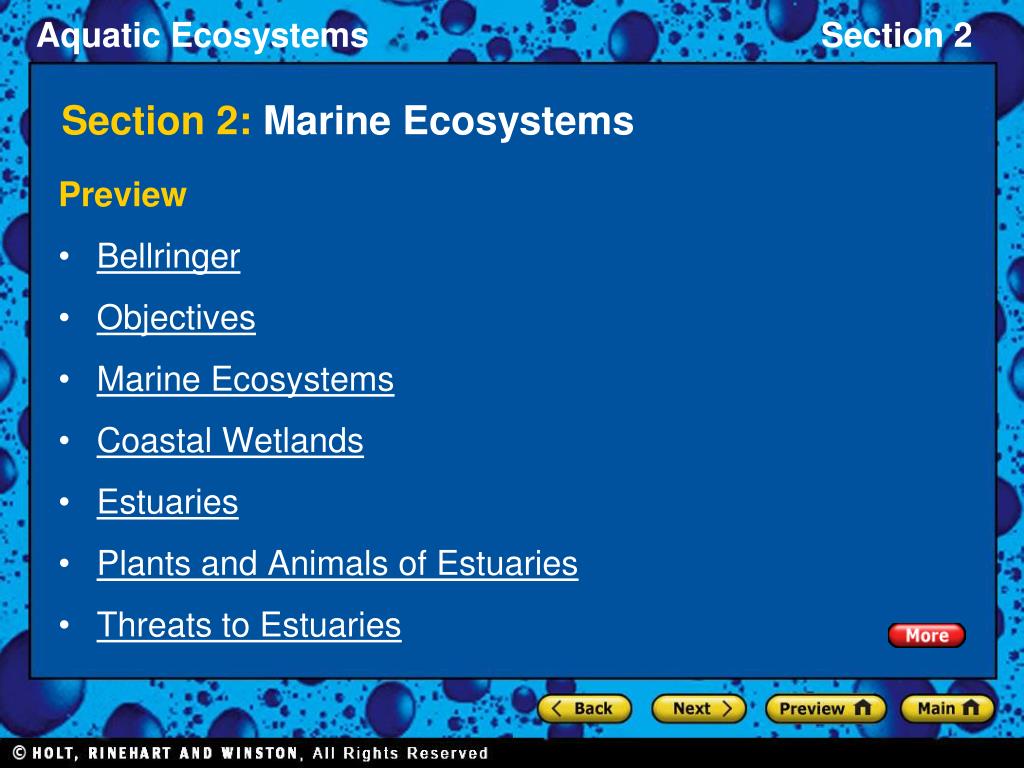PPT - Section 2: Marine Ecosystems PowerPoint Presentation, free ...