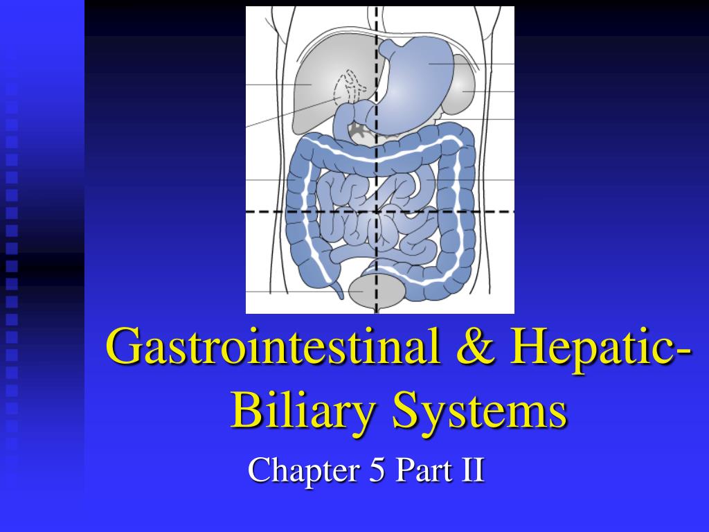 PPT - Gastrointestinal & Hepatic-Biliary Systems PowerPoint ...