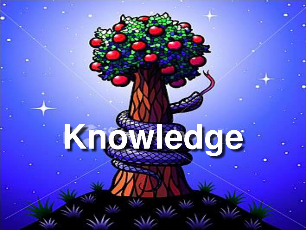 PPT - Knowledge PowerPoint Presentation, free download - ID:213595