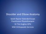 PPT - Elbow Anatomy and Biomechanics PowerPoint Presentation, free ...