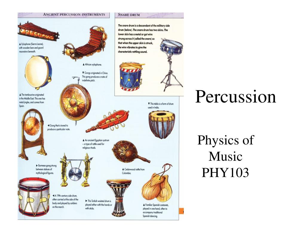 PPT - Percussion PowerPoint Presentation, free download - ID:213951
