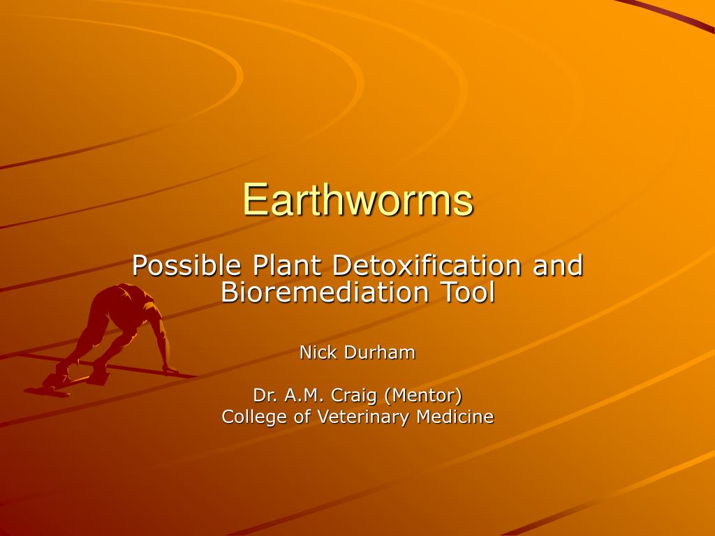PPT - Earthworms PowerPoint Presentation, free download - ID:214482