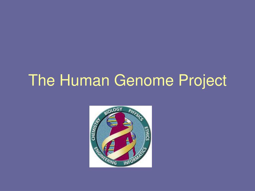 PPT - The Human Genome Project PowerPoint Presentation, free download ...