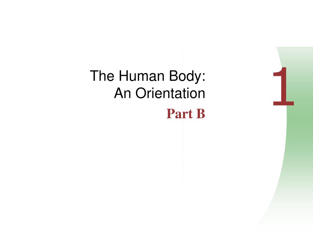 PPT - The Human Body: An Orientation Part B PowerPoint Presentation ...